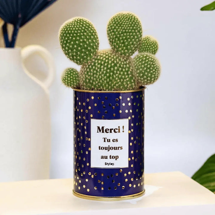 omment remercier pour un cadeau ? 30 messages prêts à envoyer – Styley
